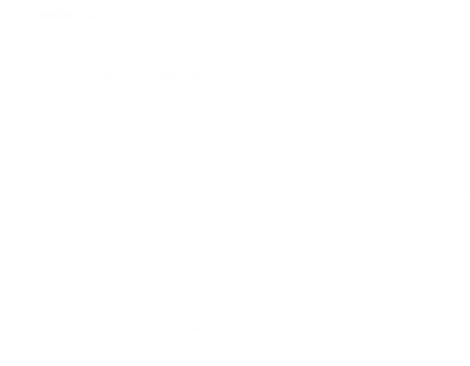 PYg Documentation – AEMICS